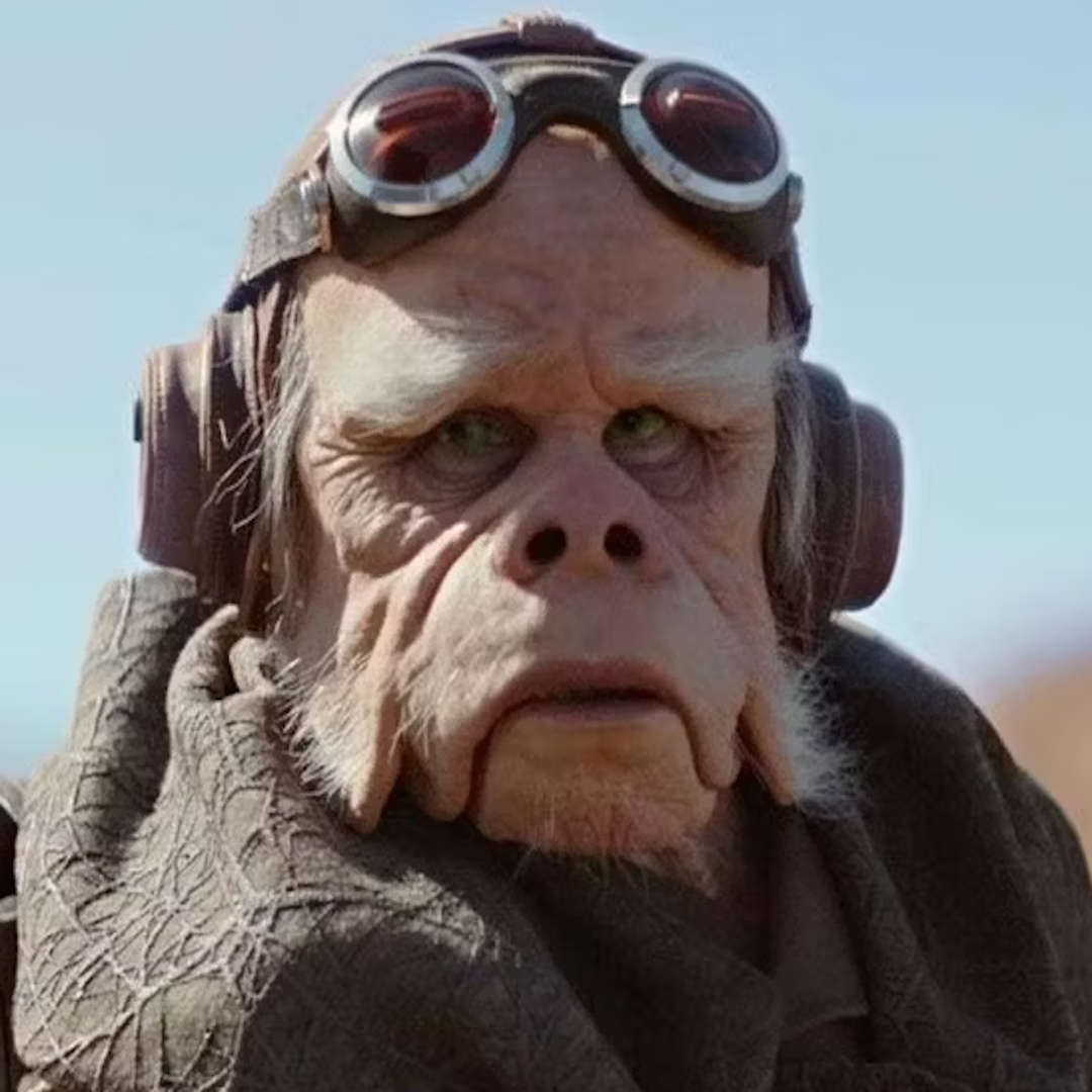 Hello from 241saurus | 241saurus